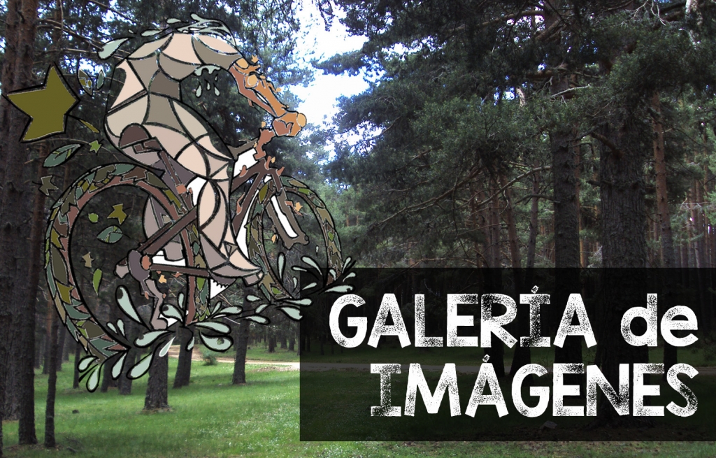 GALERIA IMAGENES - Atlos Eventos