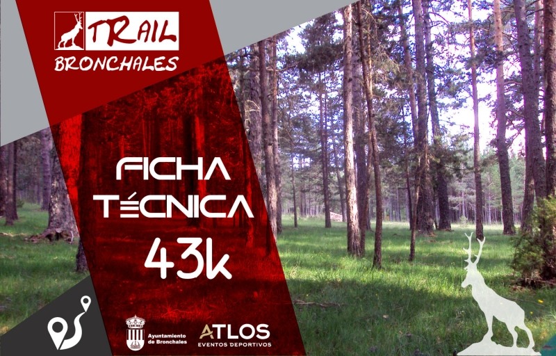 PUBLICACION-FICHA-TECNICA-43K-WEB - Atlos Eventos